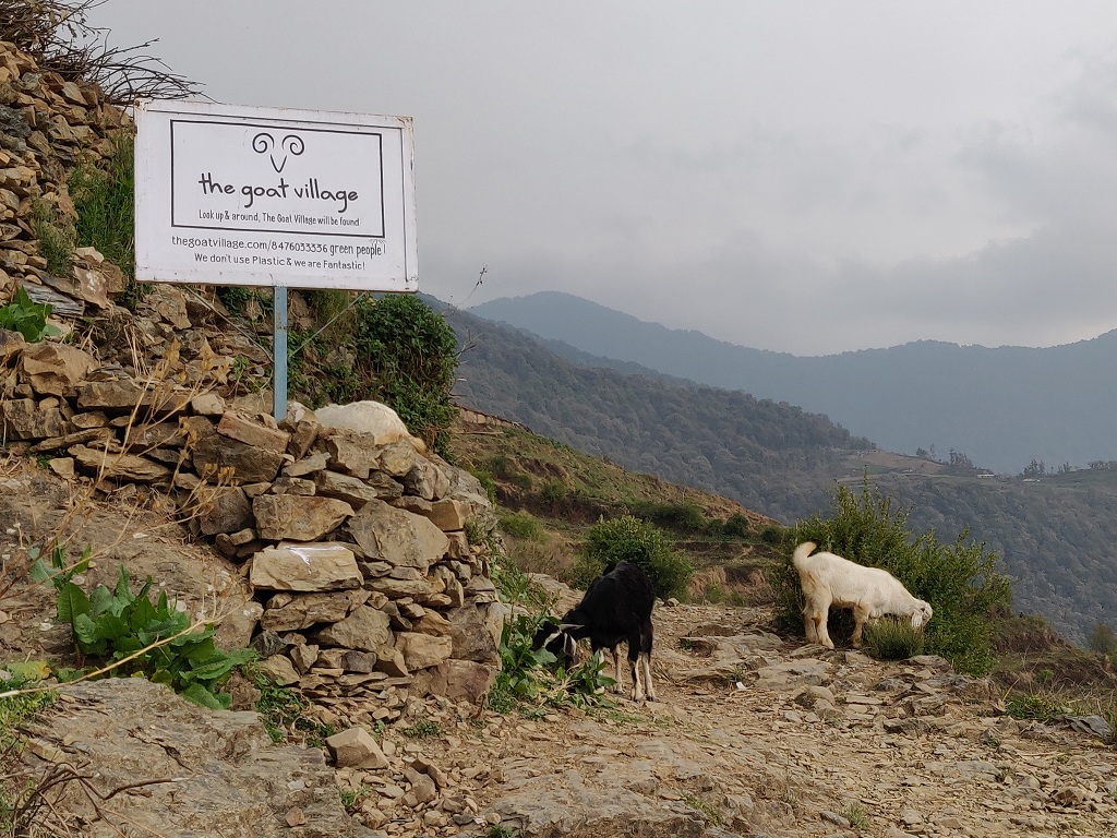 The Goat Village – Pantwari – Uttarakhand Trip Trek