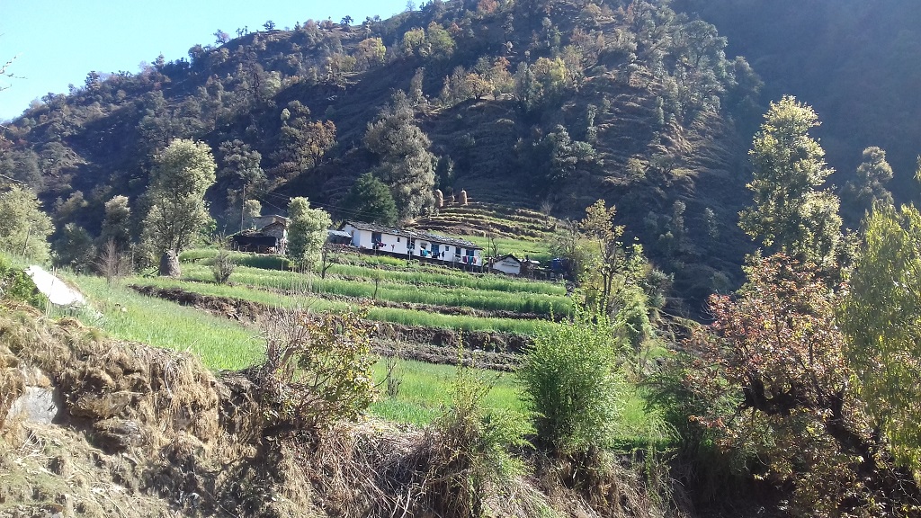 Pindari Glacier Trek Image – Uttarakhand Trip Trek